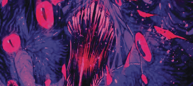 Review: Dark Ark #7 - Graphic Policy