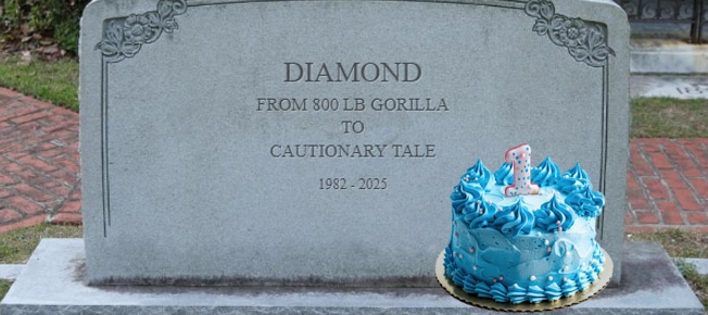 Diamond Declared Chapter 11 One Year Ago Today - Graphic Policy